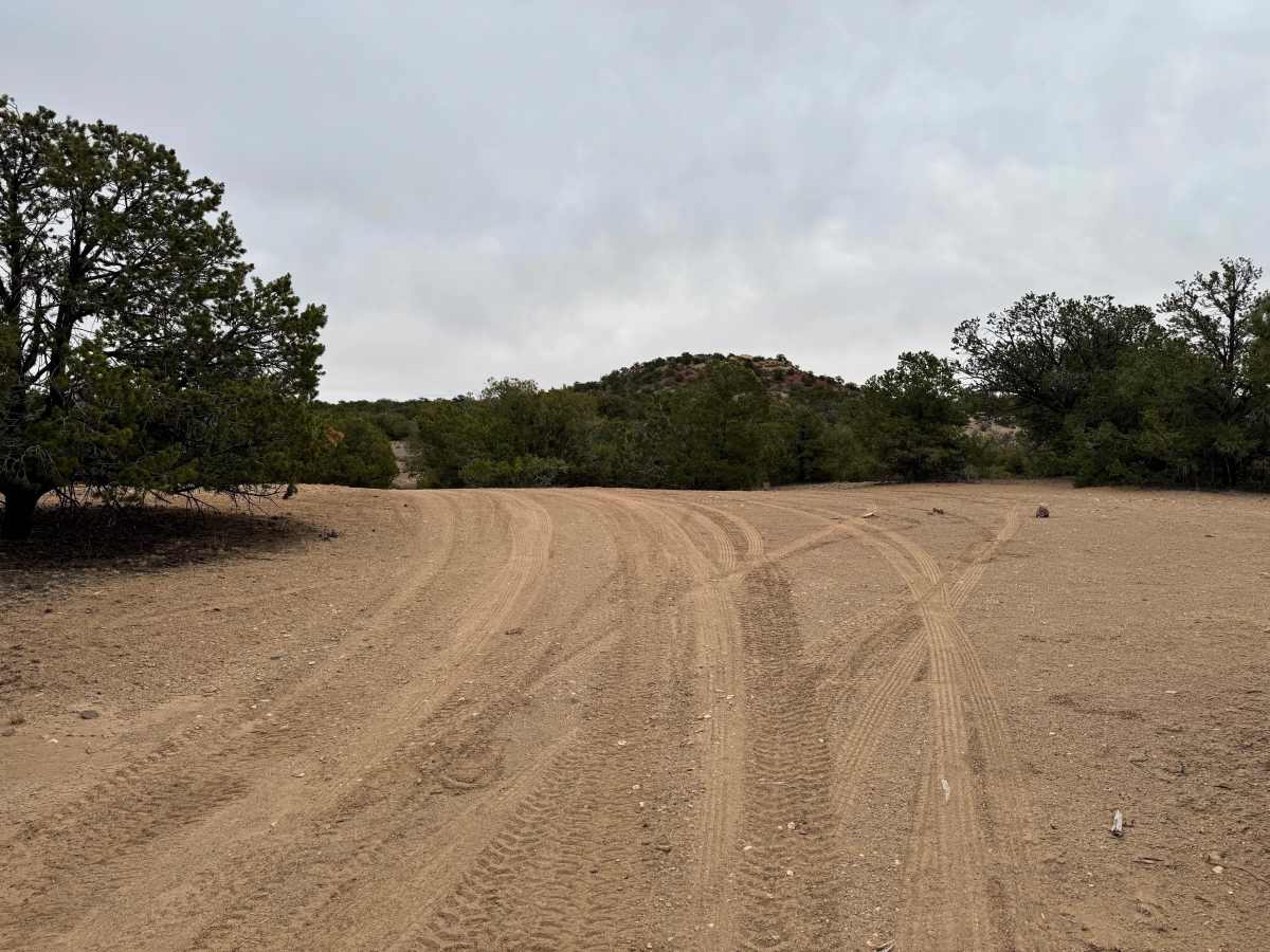 Tree Line Loop | Off-Road Trail Maps, Difficulty, Trail Status | onX ...