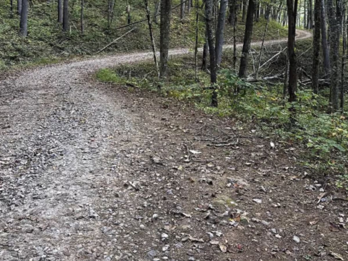 Lower Frozen Branch - FS 69C | Off-Road Trail Maps, Difficulty, Trail ...