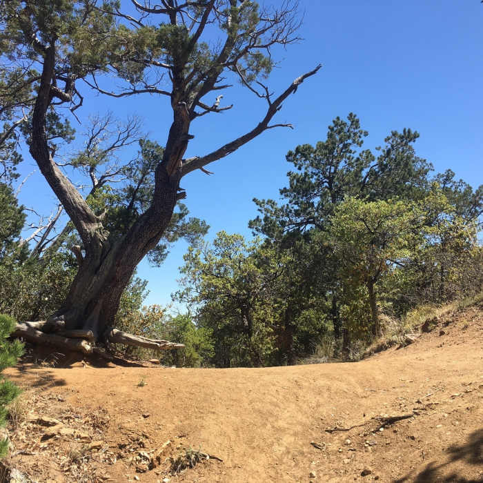 Tanque Verde Ridge Trail | Hiking Trail Maps, Difficulty, Trail Status ...