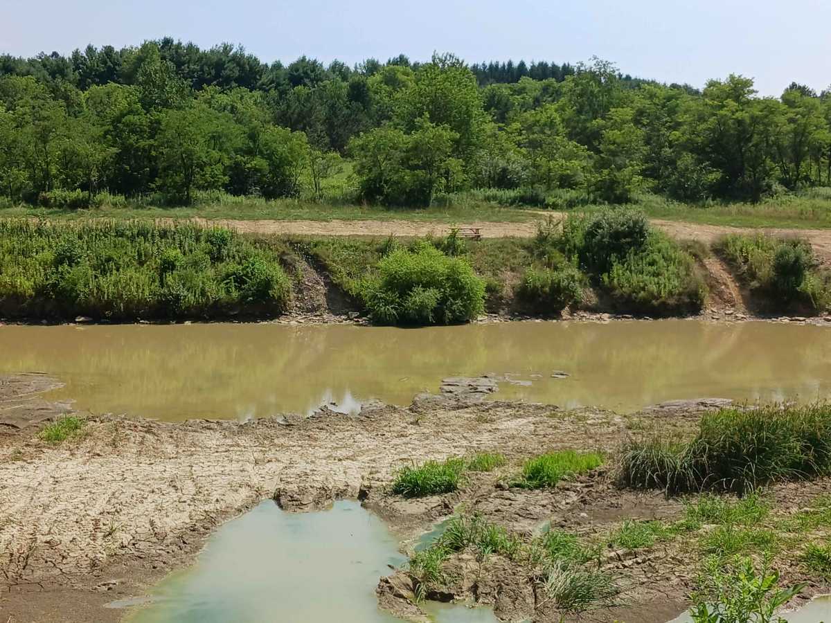 Play Pond Path Blue Trail - Rock Run Recreation Area | Off-Road Trail ...