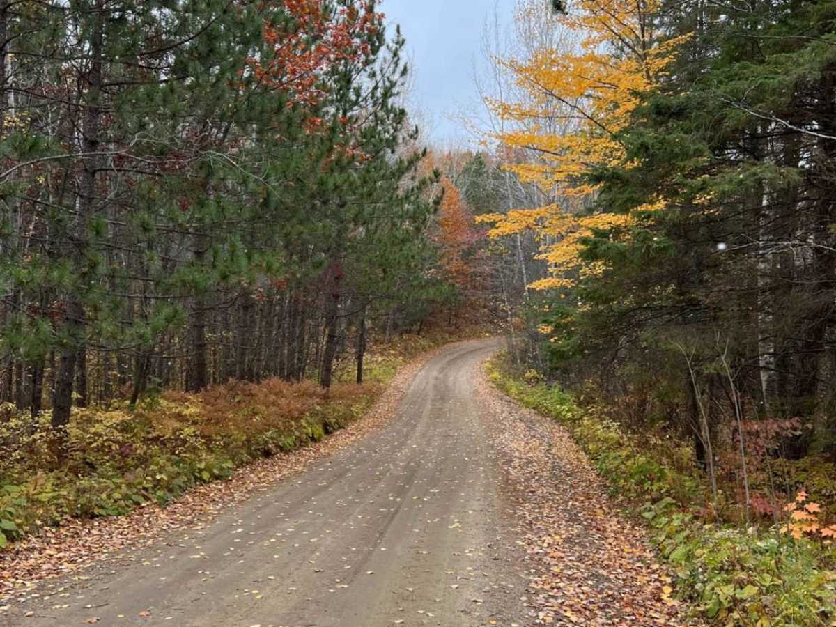 East Steamboat Lake Road | Off-Road Trail Maps, Difficulty, Trail ...