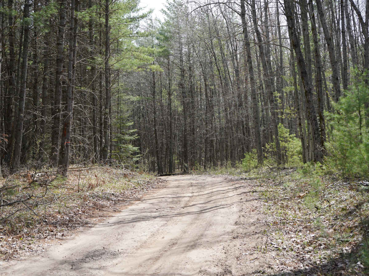 Knott Road | Off-Road Trail Maps, Difficulty, Trail Status | onX Offroad