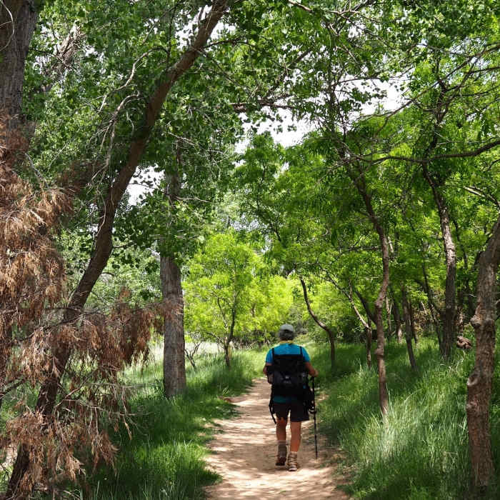 Paseo del Rio | Hiking Trail Maps, Difficulty, Trail Status | onX