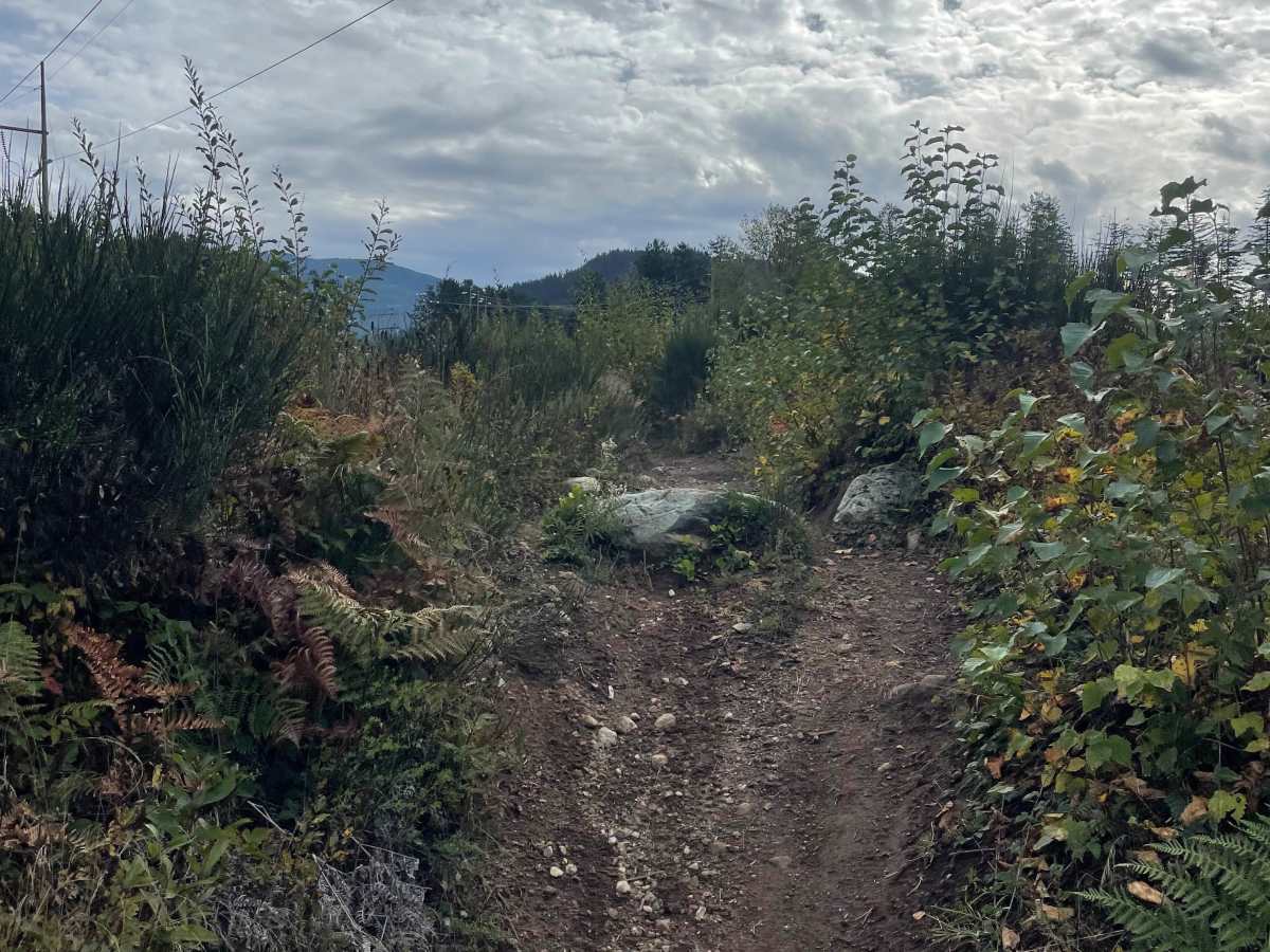 Rob’s Rip Cut Out West | Off-Road Trail Maps, Difficulty, Trail Status ...