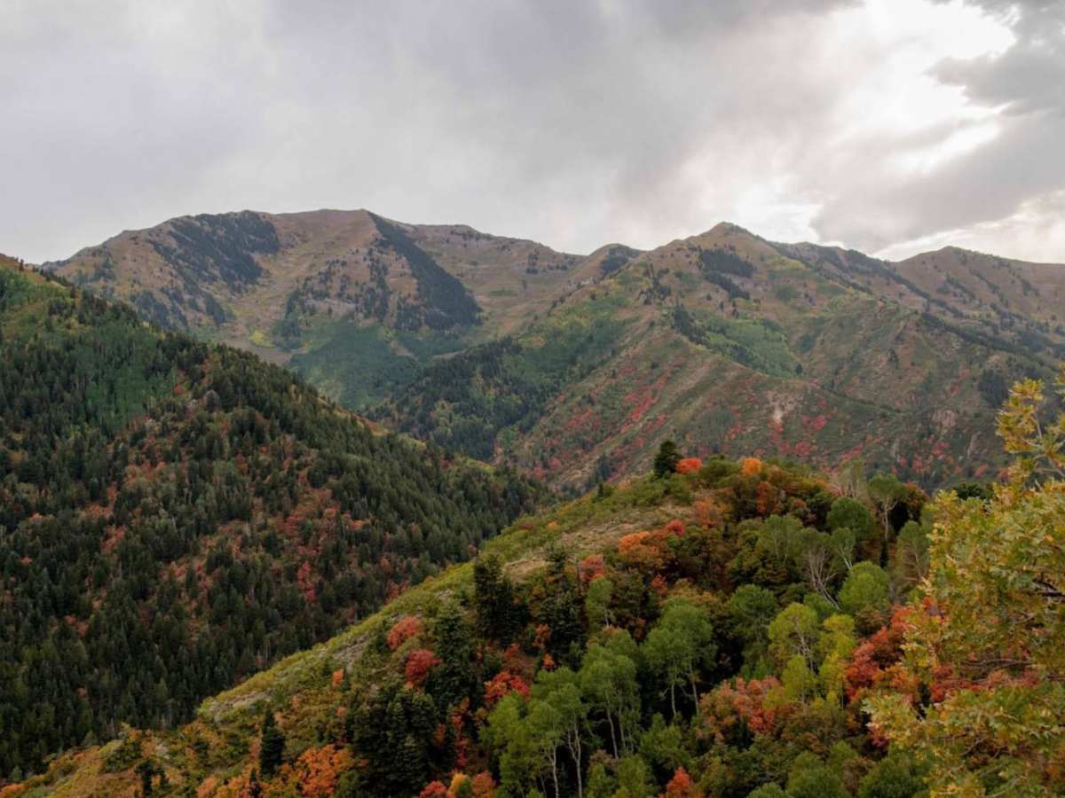 Butterfield Canyon | Off-Road Trail Maps, Difficulty, Trail Status ...