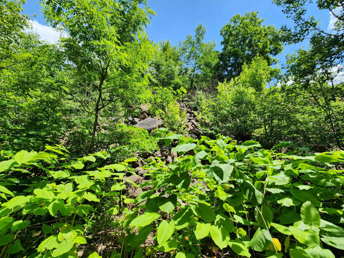 Boulder Field - Rock Run Recreation Area | Off-Road Trail Maps ...