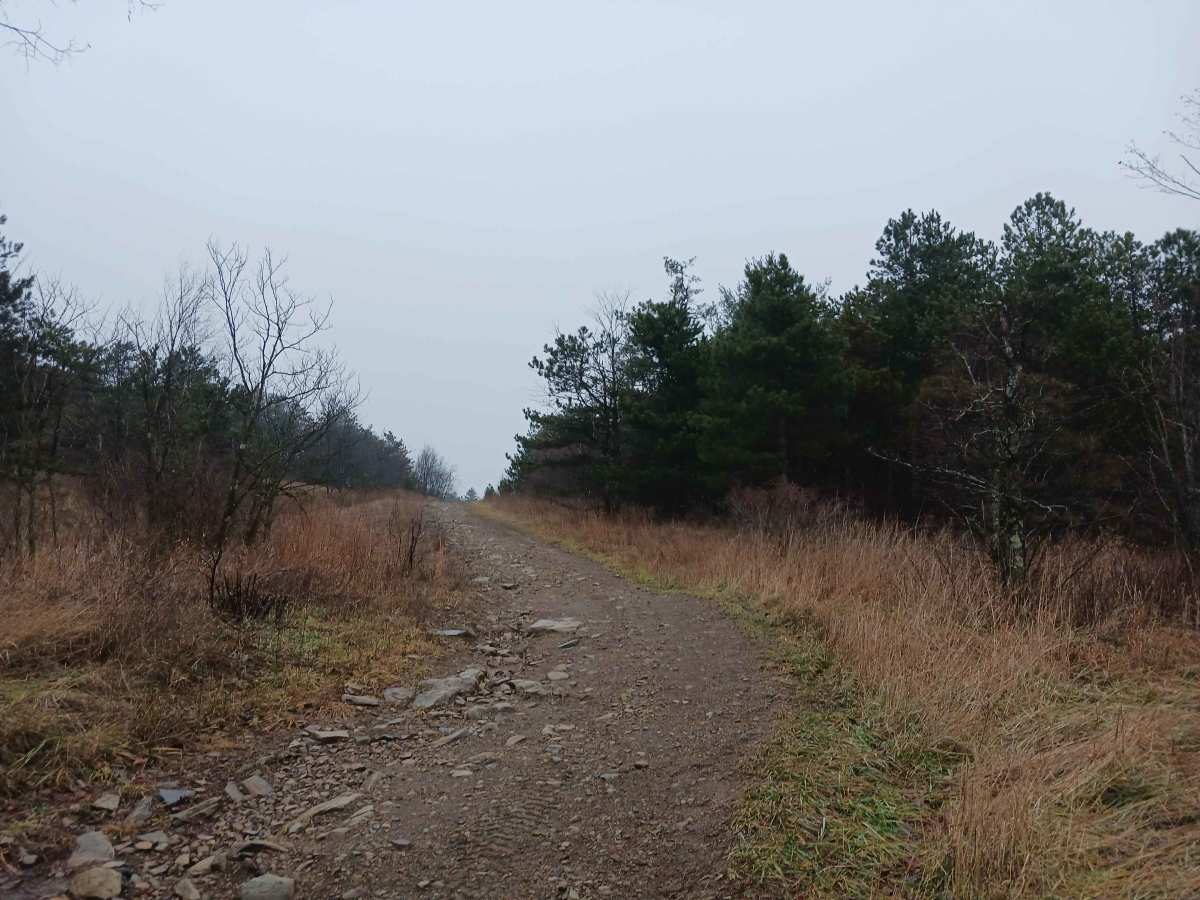 The Strip - Rock Run Recreation Area | Off-Road Trail Maps, Difficulty ...
