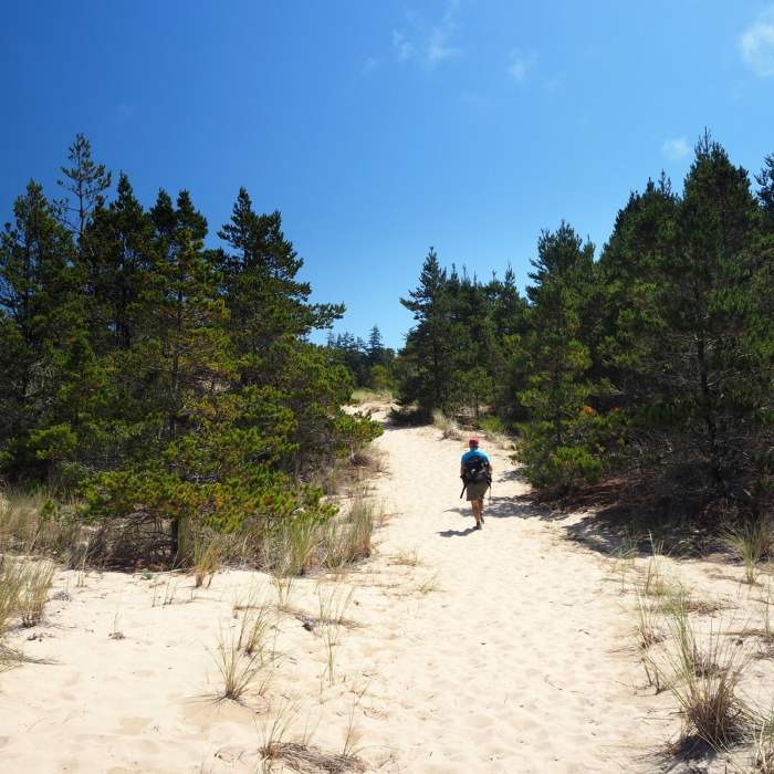 Tahkenitch Dunes Trail #1353 | Hiking Trail Maps, Difficulty, Trail ...