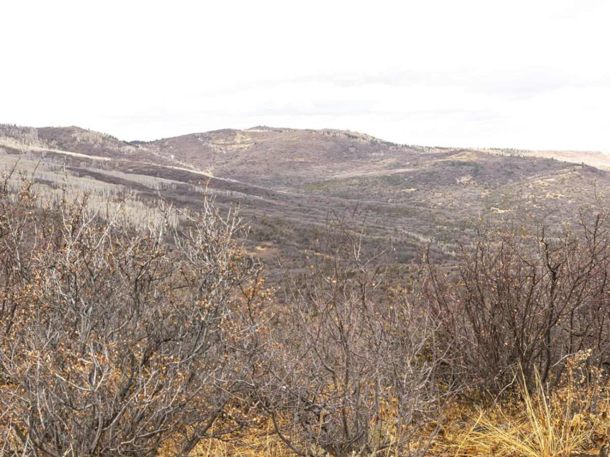 Catamount Road | Off-Road Trail Maps, Difficulty, Trail Status | onX ...