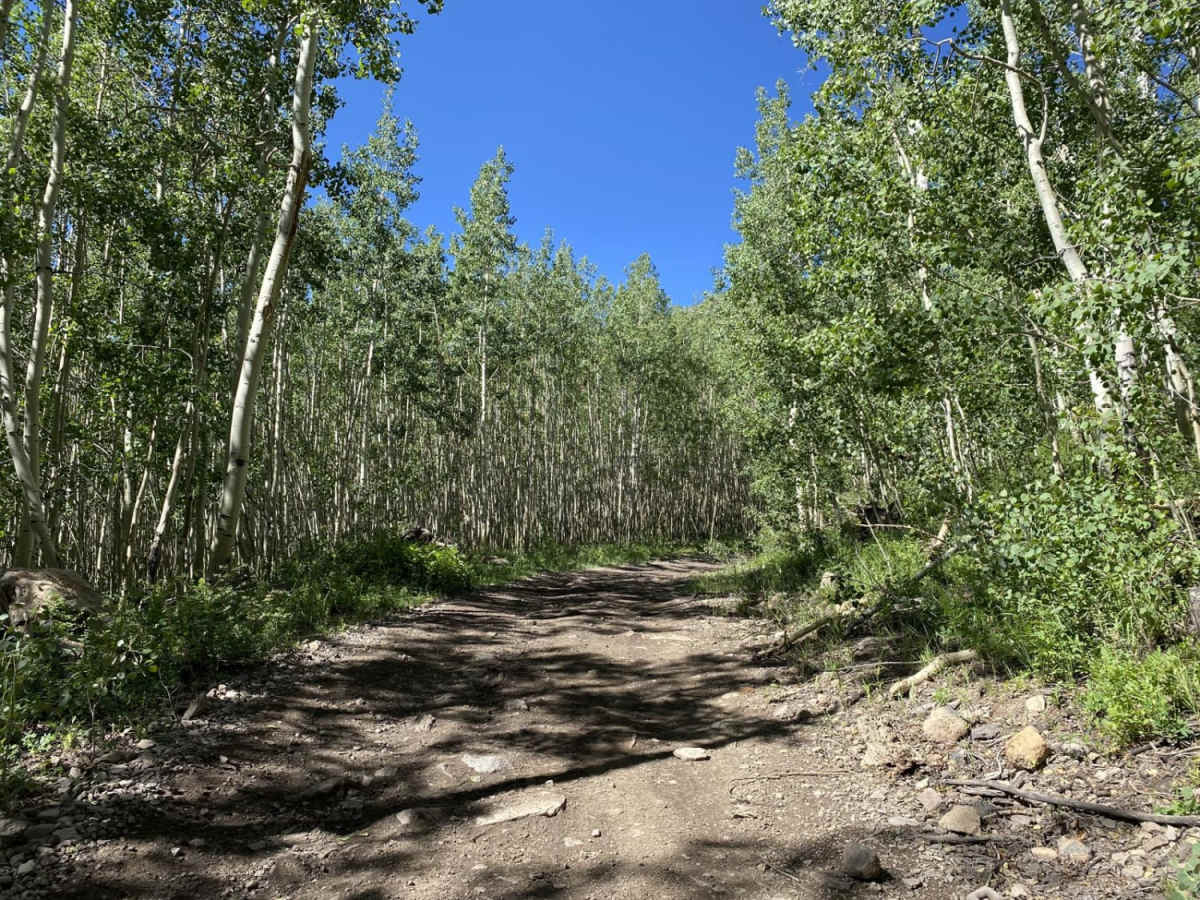 Farnsworth Lake Road | Off-Road Trail Maps, Difficulty, Trail Status ...
