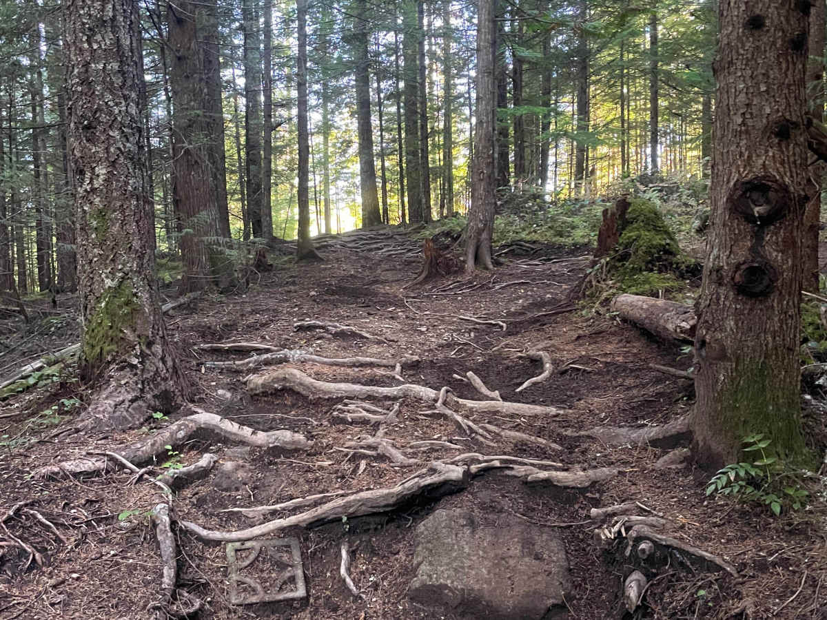 Mike's Xing | Off-Road Trail Maps, Difficulty, Trail Status | onX Offroad