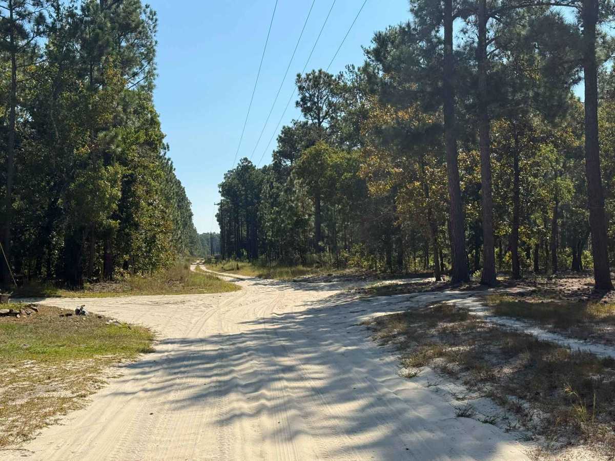 Ellerbe Tower Lane | Off-Road Trail Maps, Difficulty, Trail Status ...