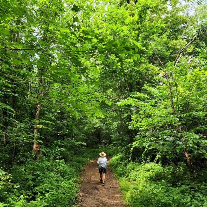 Pine Grove Trail | Hiking Trail Maps, Difficulty, Trail Status | onX