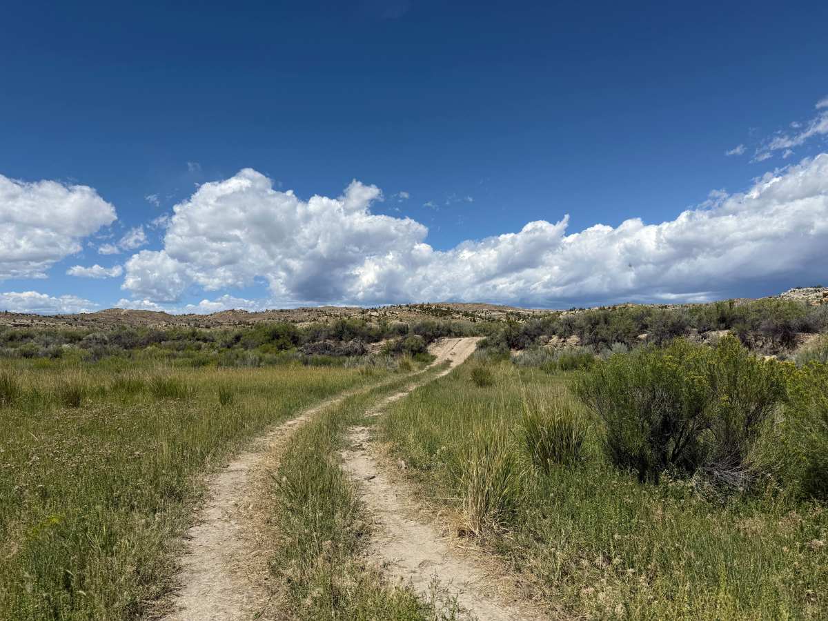 Side By Side Trail | Off-Road Trail Maps, Difficulty, Trail Status ...