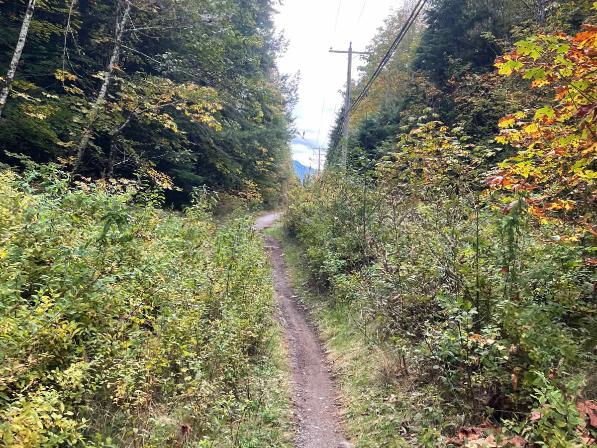 Old Government Road Single Track | Off-Road Trail Maps, Difficulty ...