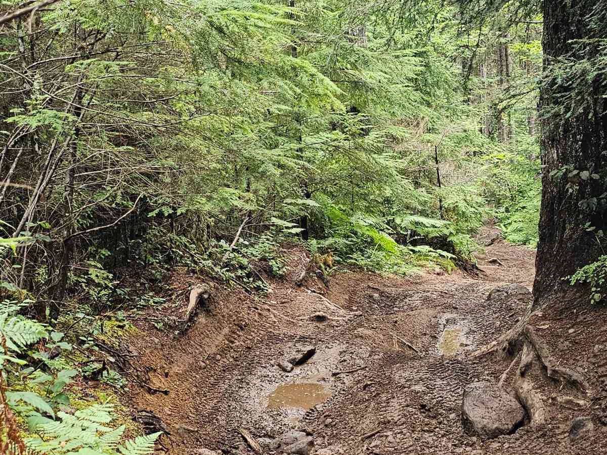 Gotcha | Off-Road Trail Maps, Difficulty, Trail Status | onX Offroad