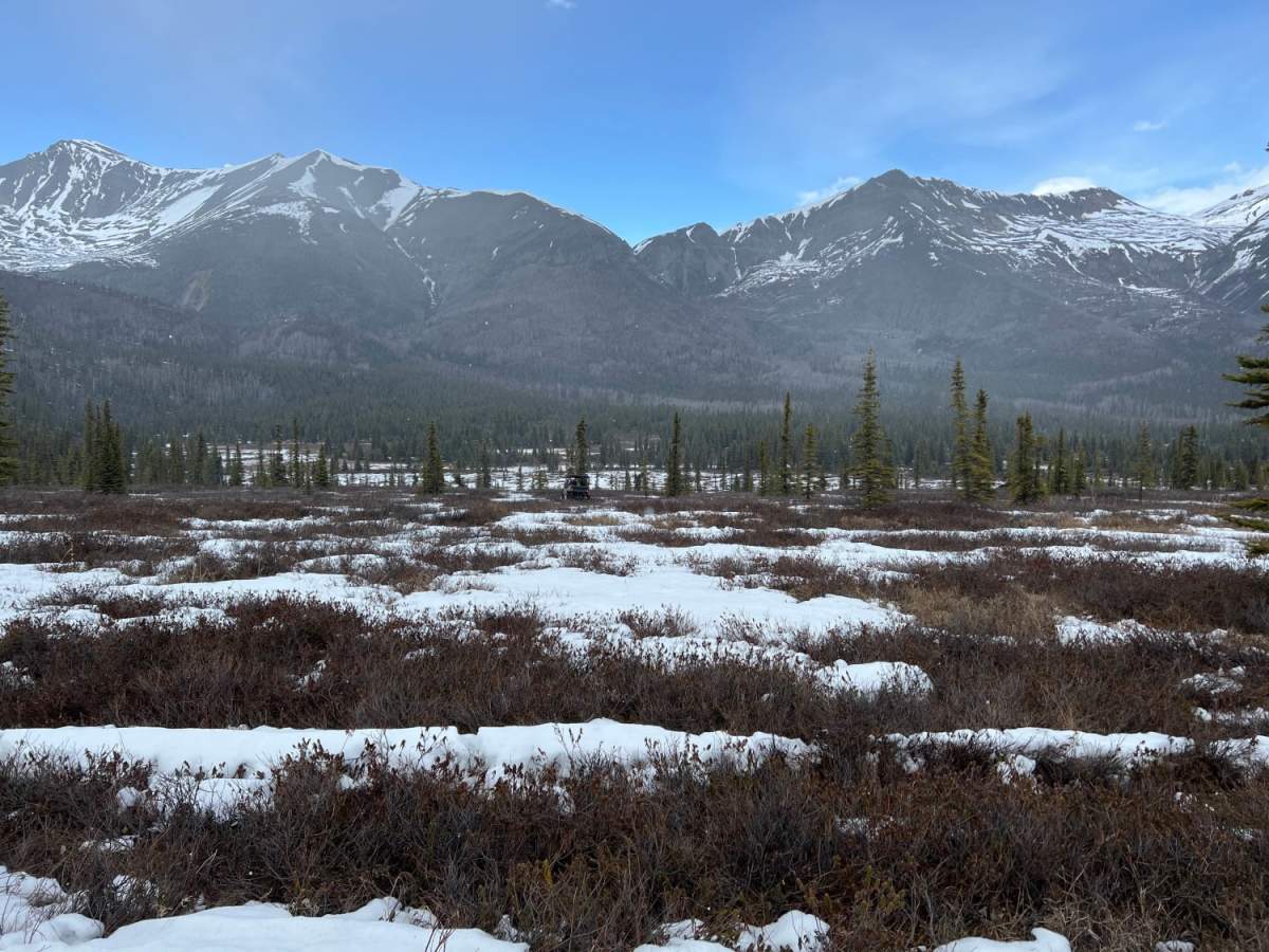 Dan Creek | Off-Road Trail Maps, Difficulty, Trail Status | onX Offroad