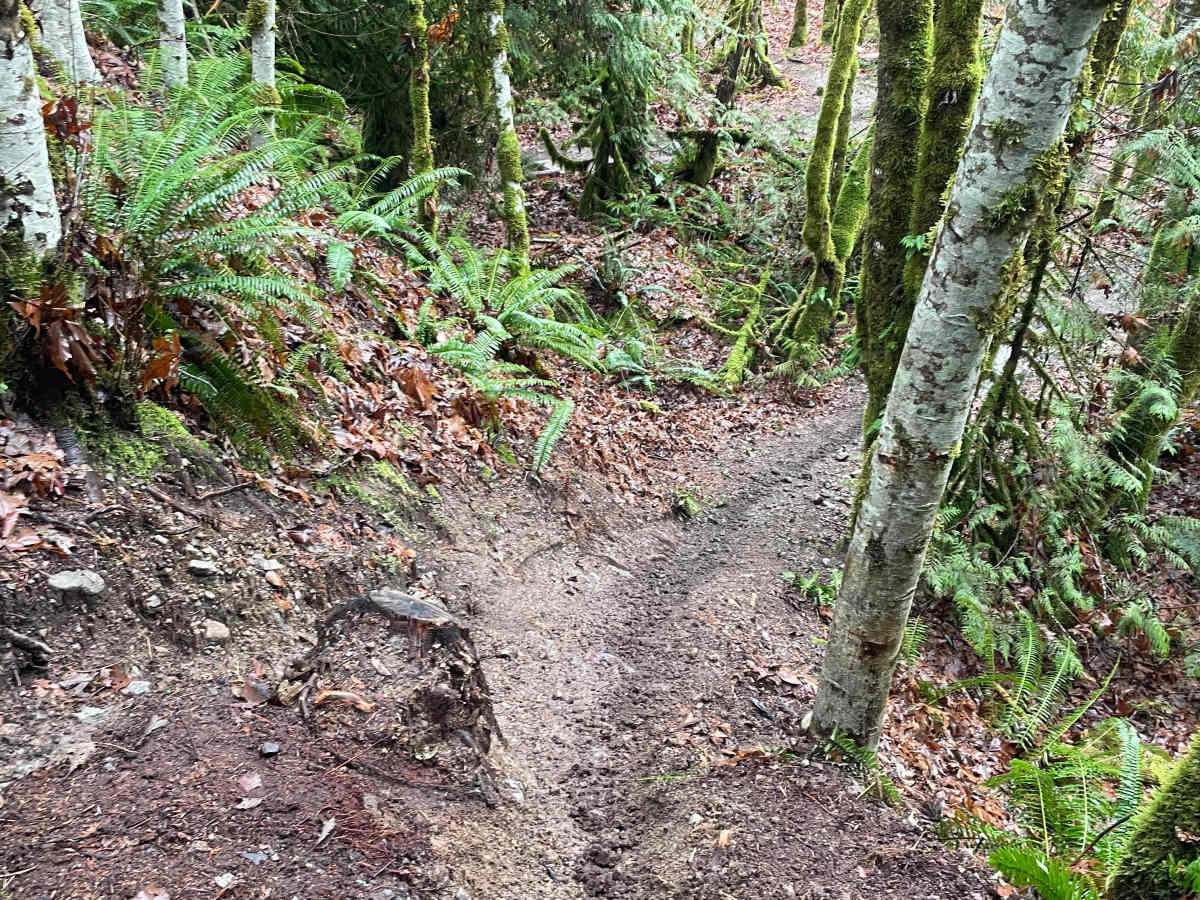 Bob and Weave | Off-Road Trail Maps, Difficulty, Trail Status | onX Offroad