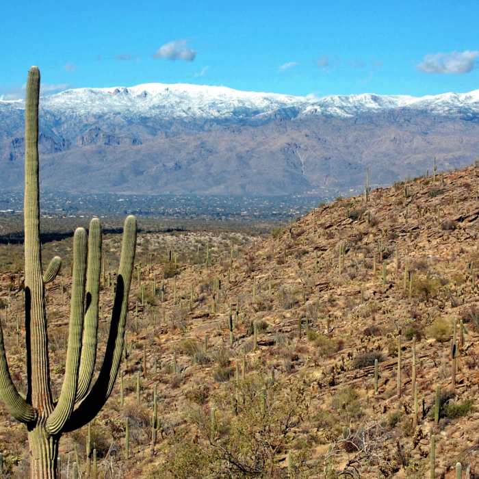 Tanque Verde Ridge Trail | Hiking Trail Maps, Difficulty, Trail Status ...