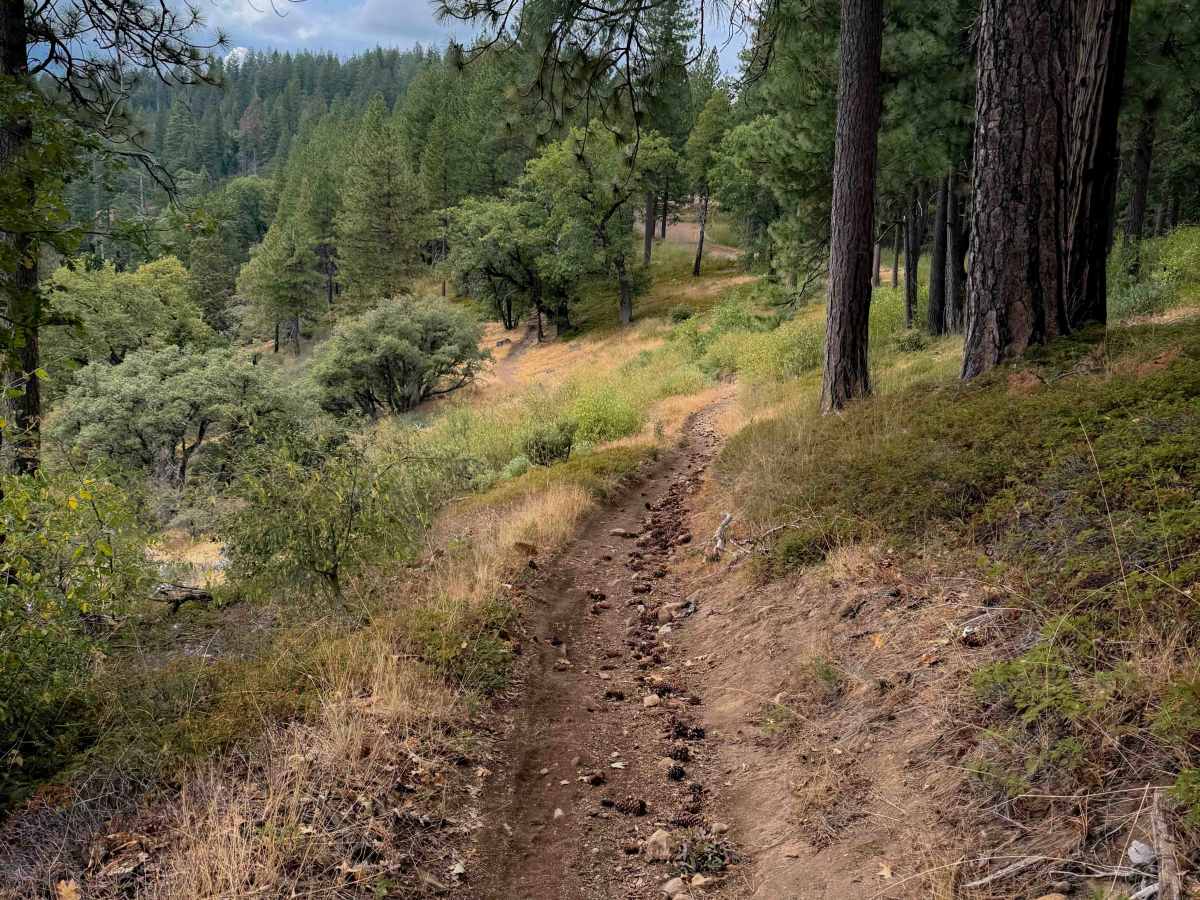 15EV55 | Off-Road Trail Maps, Difficulty, Trail Status | onX Offroad