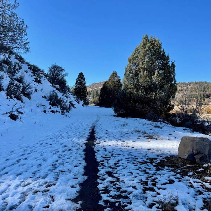 Old Paul Bunyan Road + Canyon Trail Loop Hiking Trail | Map, Difficulty ...