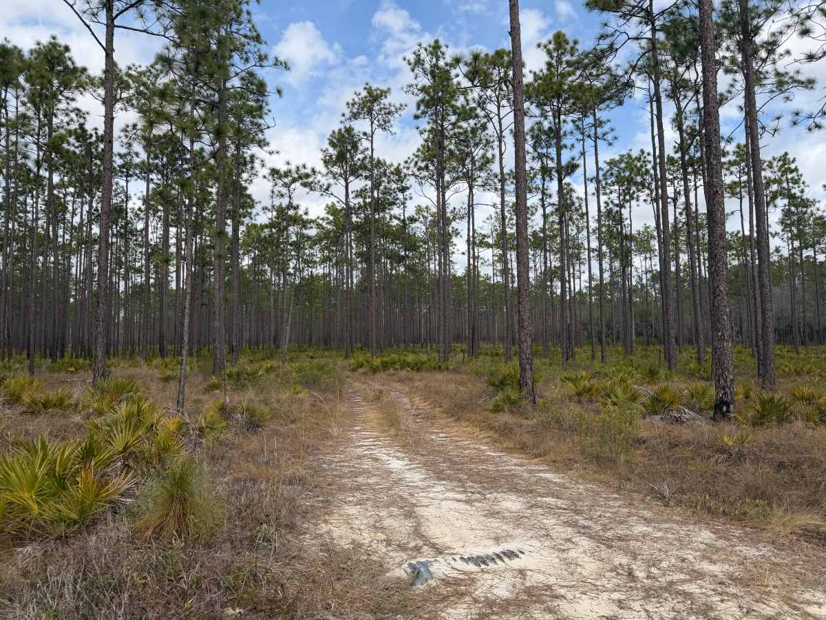 Smith Creek Landing “Bridge Out” | Off-Road Trail Maps, Difficulty ...