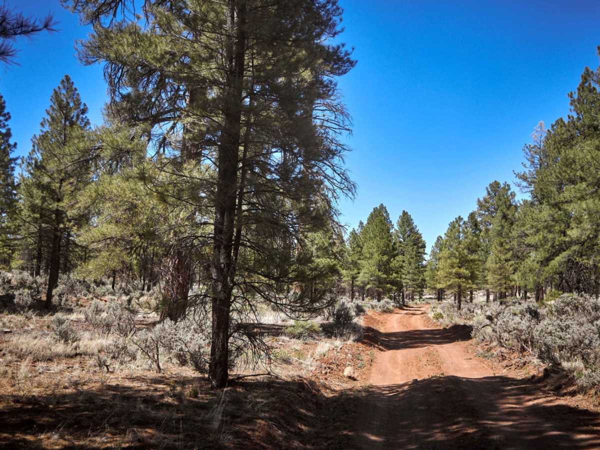 2607 Road | Off-Road Trail Maps, Difficulty, Trail Status | onX Offroad