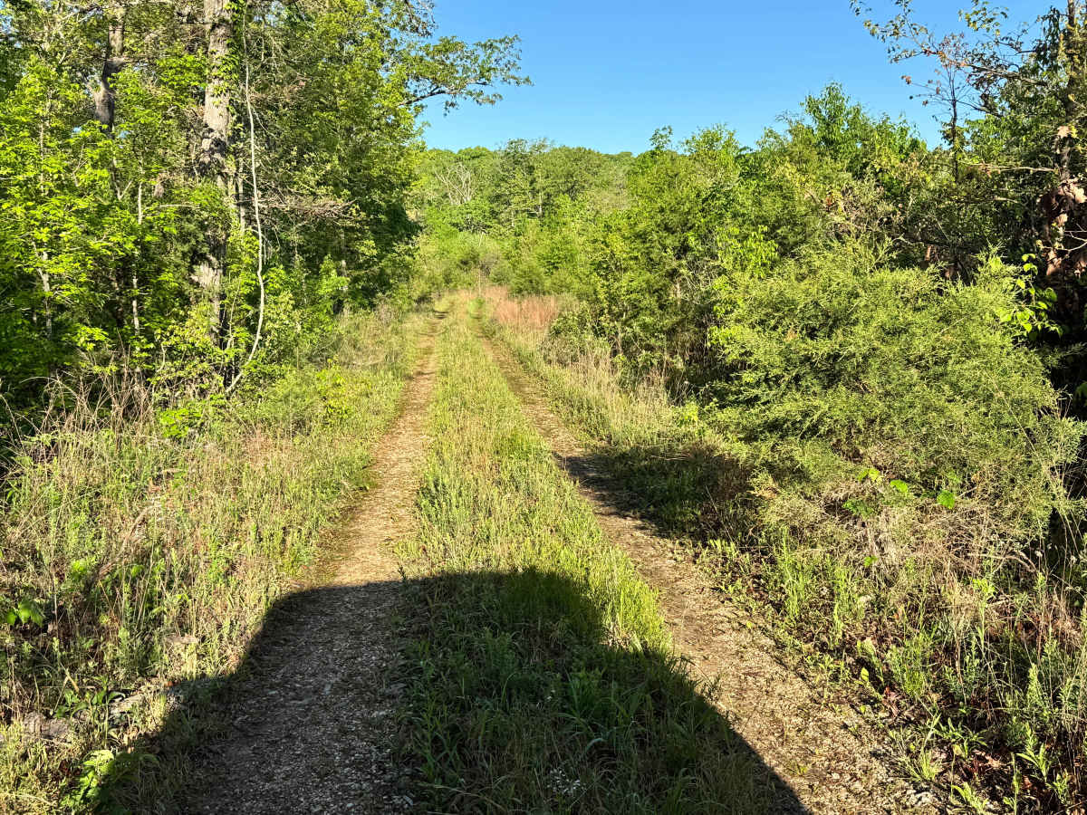 Teasley Hollow - FS 1742 | Off-Road Trail Maps, Difficulty, Trail ...