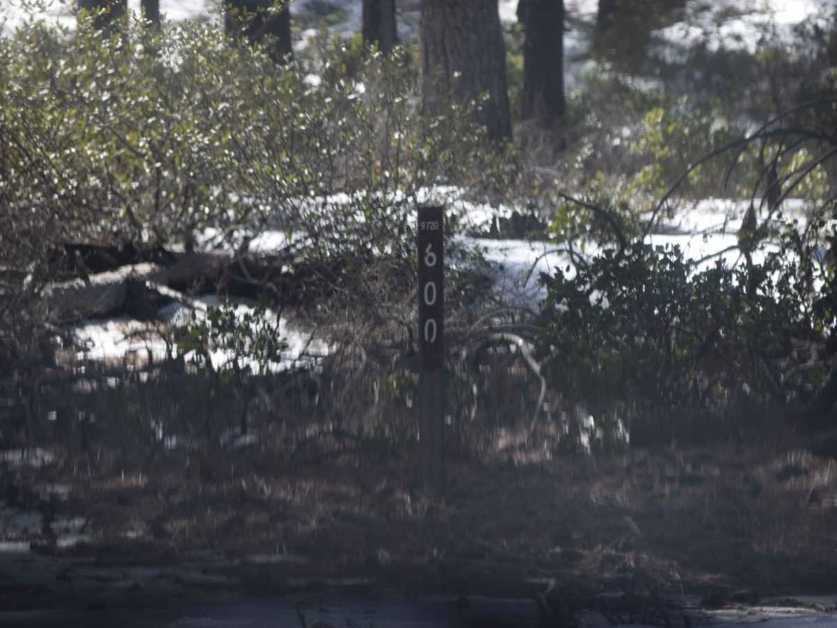 Lava Cast Forest Trail | Off-Road Trail Maps, Difficulty, Trail Status ...
