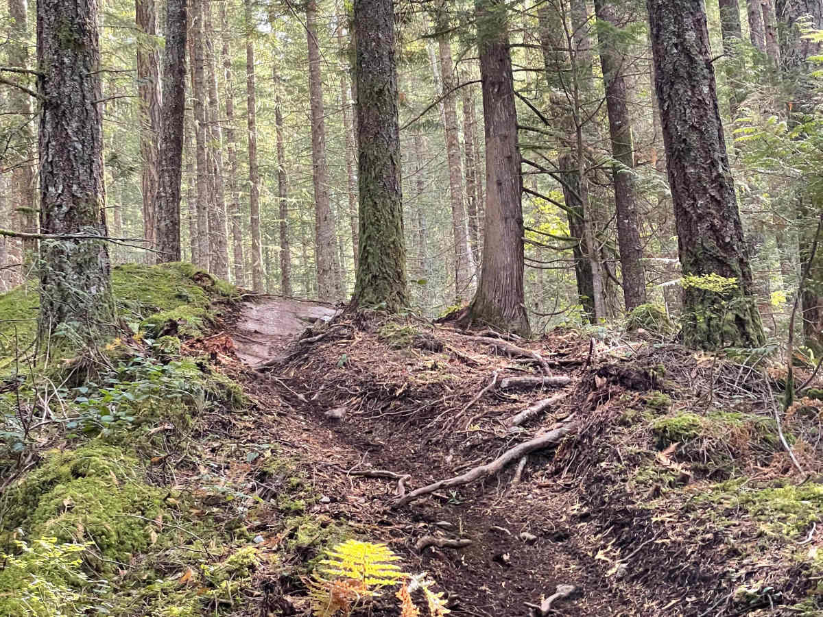 Little Boy Blue | Off-Road Trail Maps, Difficulty, Trail Status | onX ...