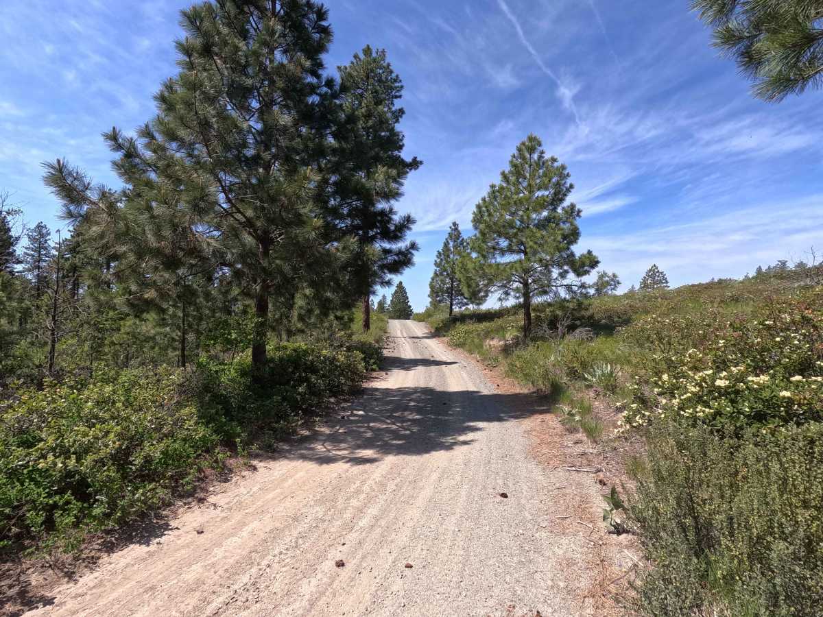 Mud Creek Road - FS 53 | Off-Road Trail Maps, Difficulty, Trail Status ...