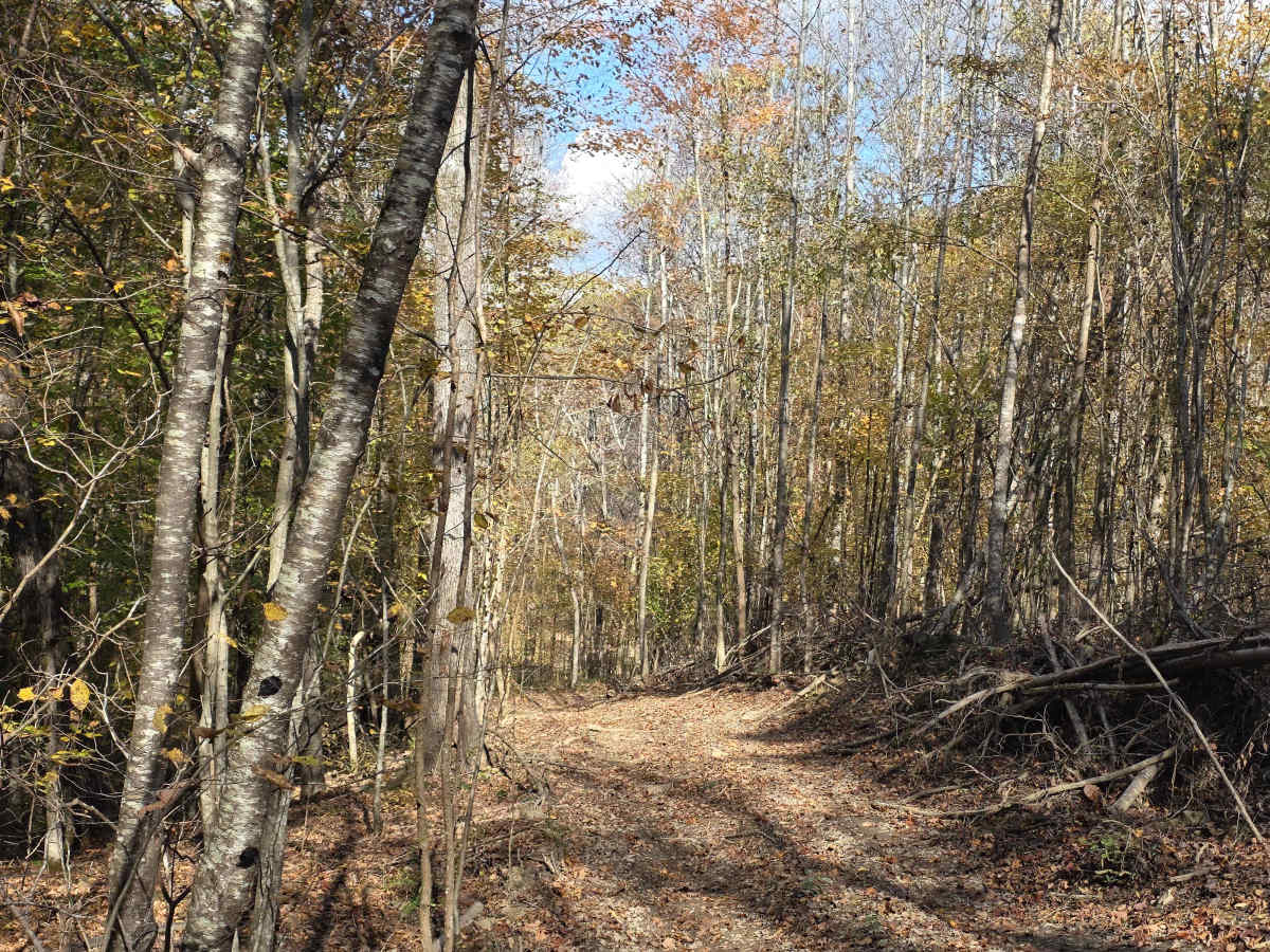Right Turn | Off-Road Trail Maps, Difficulty, Trail Status | onX Offroad