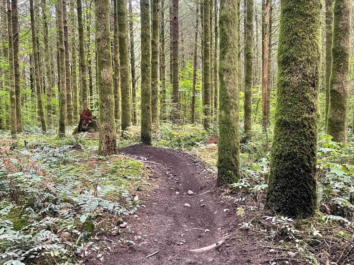 Even Flow | Off-Road Trail Maps, Difficulty, Trail Status | onX Offroad