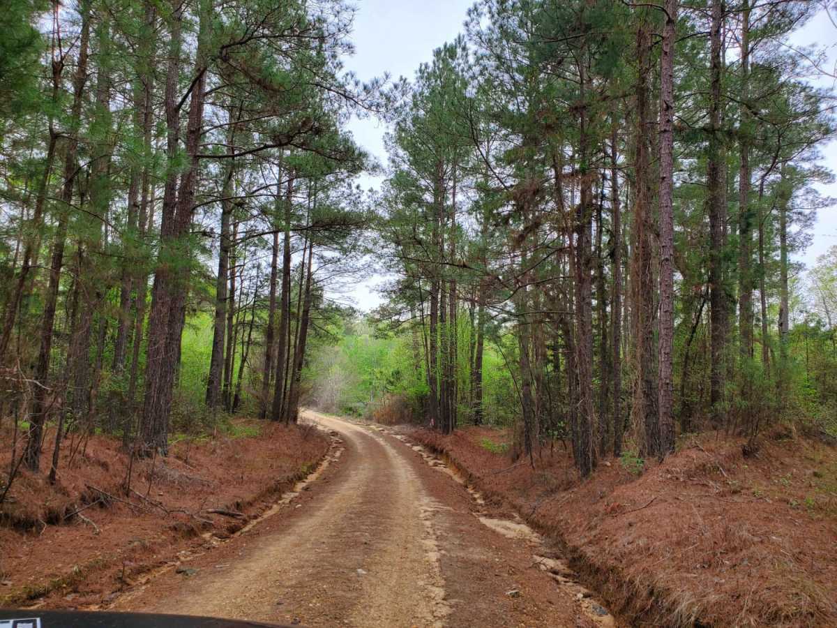 Primitive Camp and Shooting Range in Poison Springs WMA | Off-Road ...