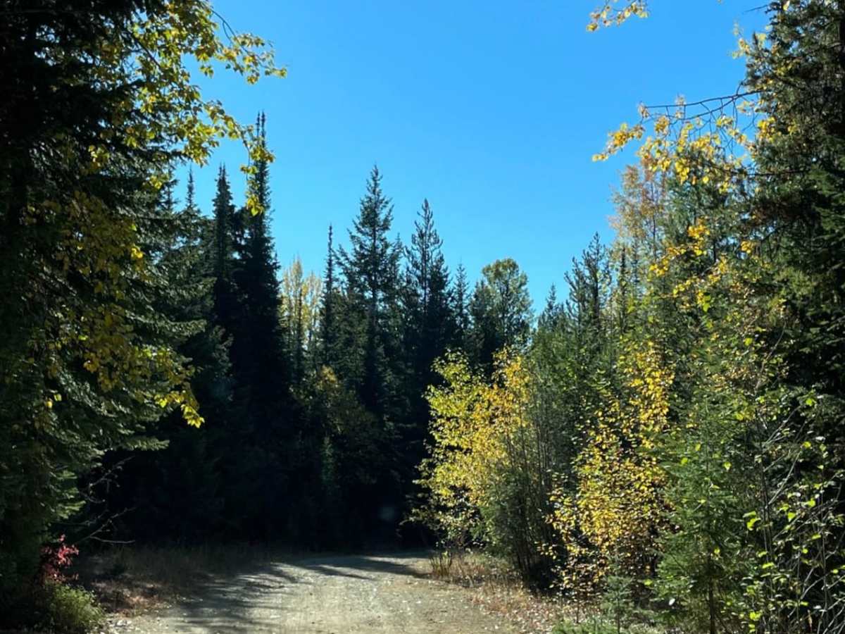 Crescent to Beaver Lake Road | Off-Road Trail Maps, Difficulty, Trail ...