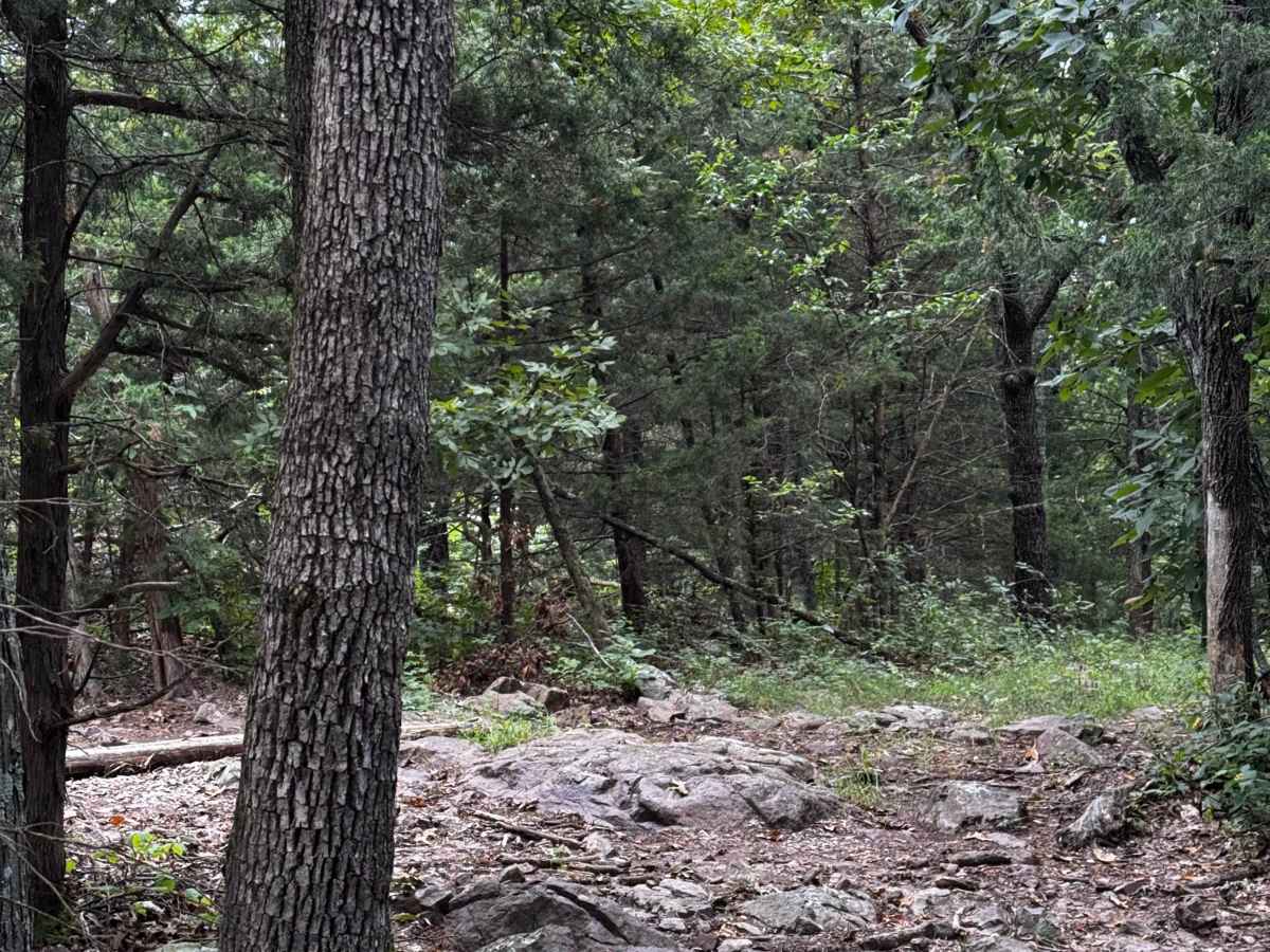 The Rock | Off-Road Trail Maps, Difficulty, Trail Status | onX Offroad
