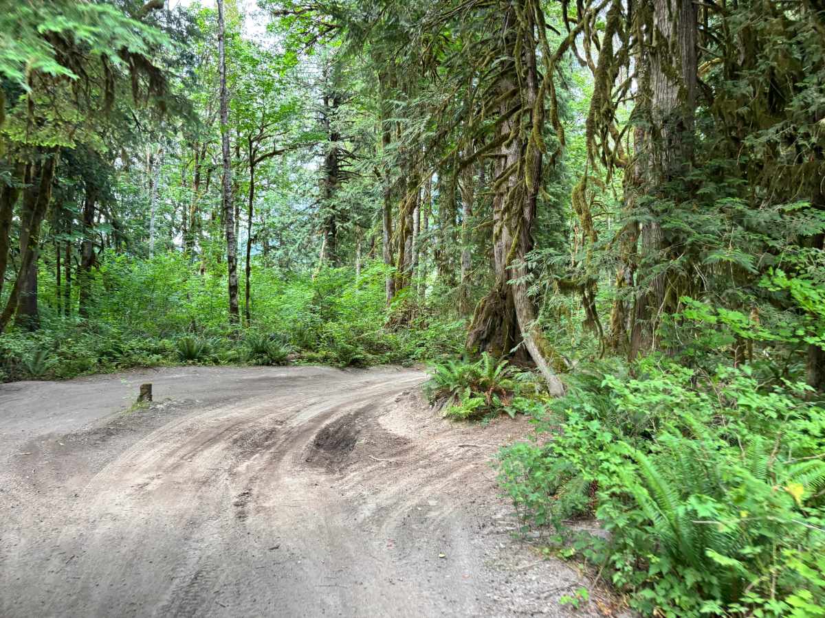 Sauk River Forest Loop | Off-Road Trail Maps, Difficulty, Trail Status ...