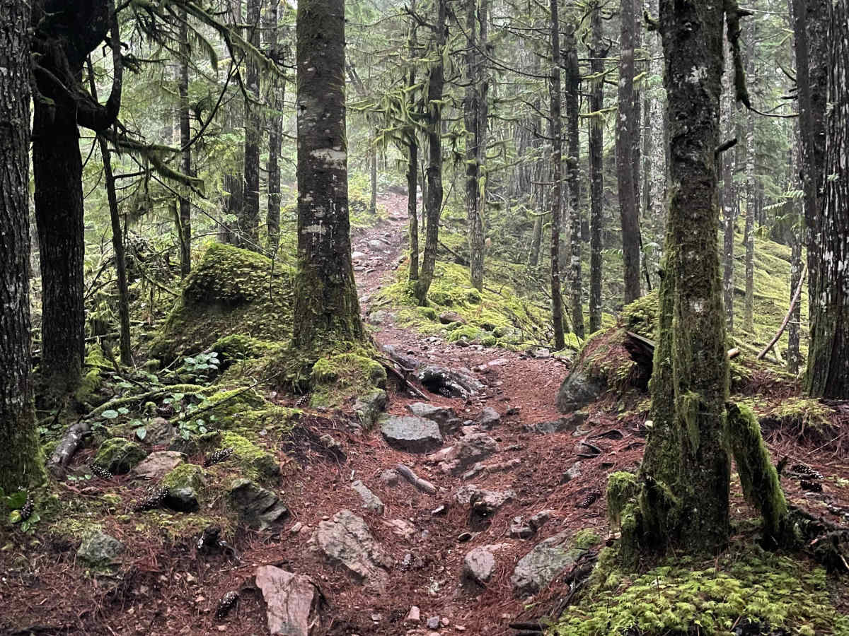 STP Plunge | Off-Road Trail Maps, Difficulty, Trail Status | onX Offroad