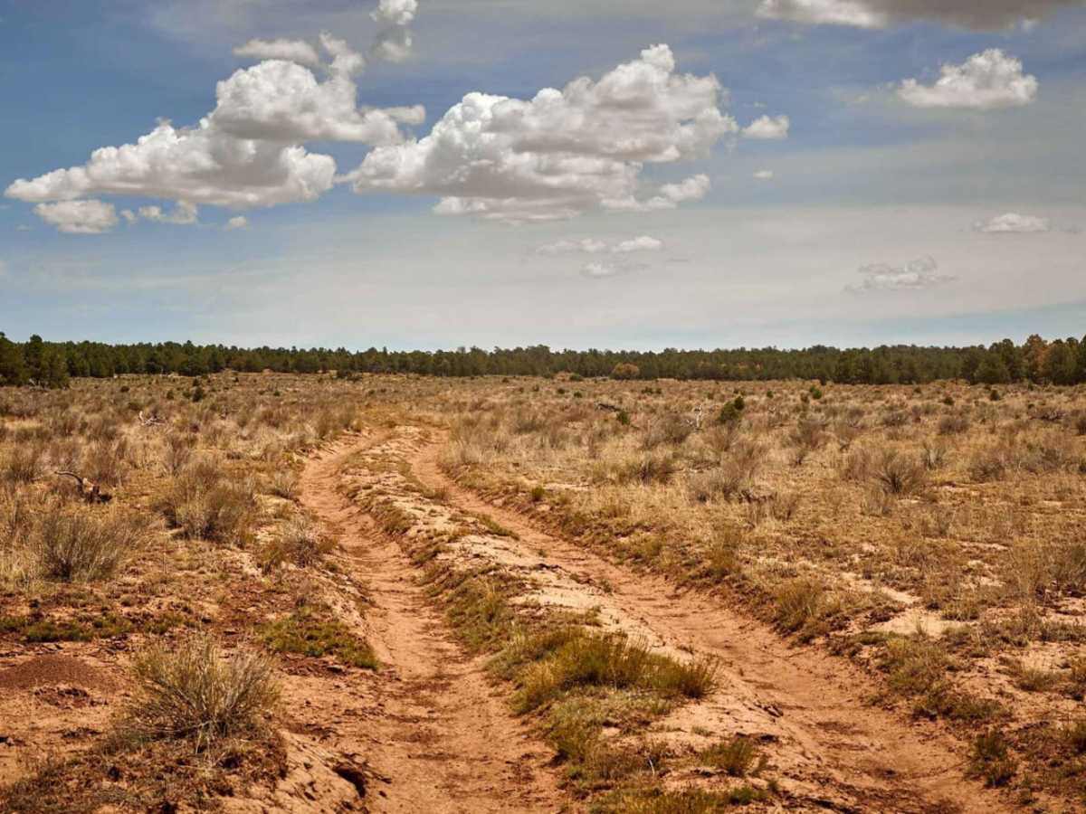 FR 2739 | Off-Road Trail Maps, Difficulty, Trail Status | onX Offroad
