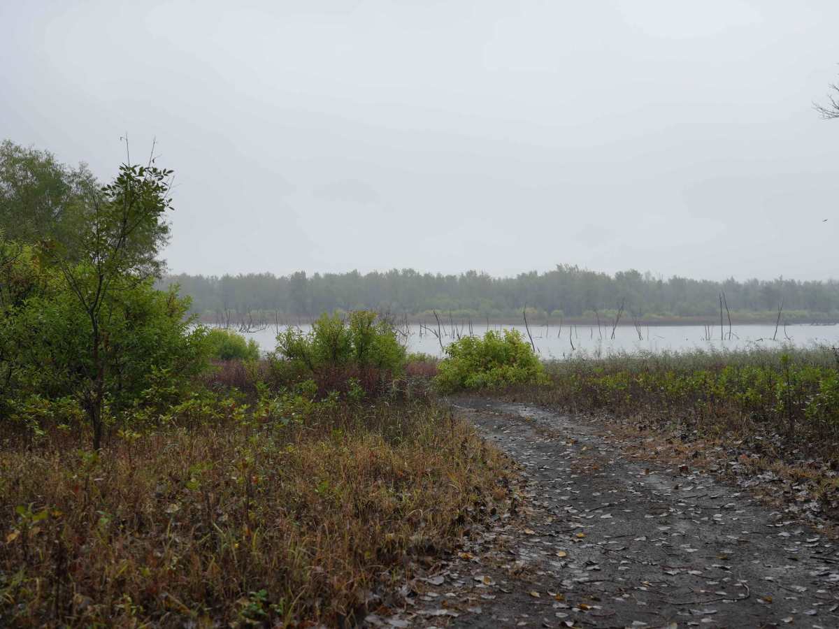 Otter Creek Main Trail | Off-Road Trail Maps, Difficulty, Trail Status ...