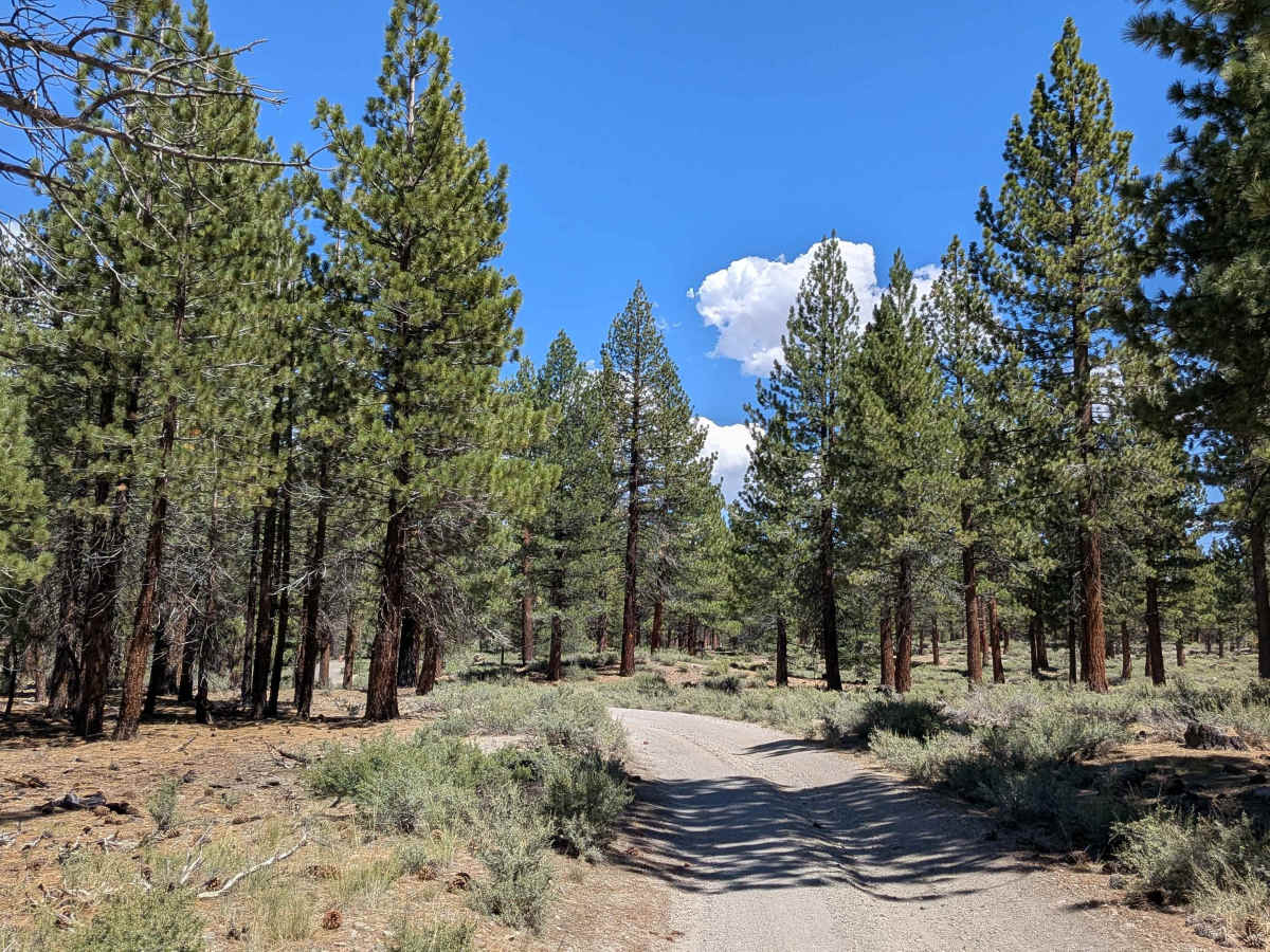Alpers Canyon Upper FS2S42 | Off-Road Trail Maps, Difficulty, Trail ...