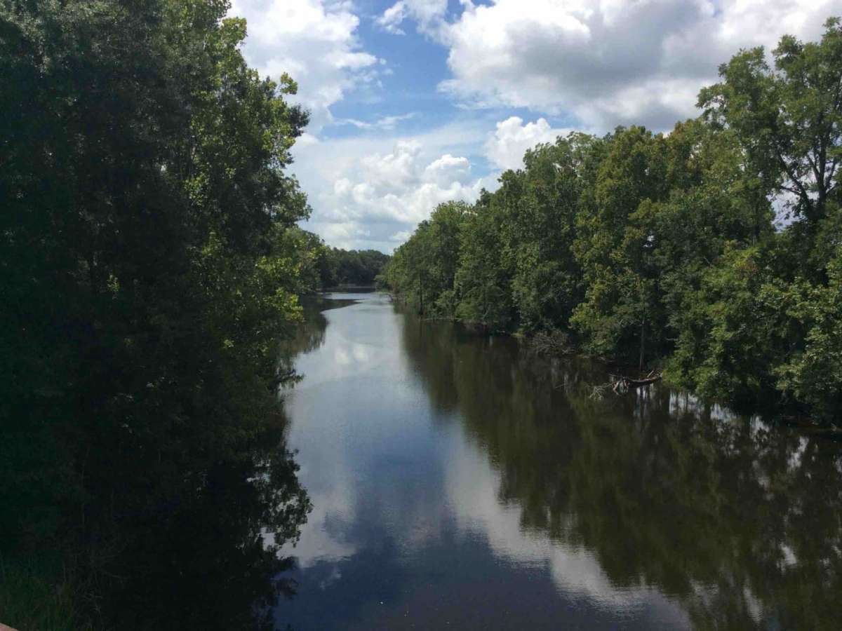 Grassy Lakes Wildlife Management Area (WMA) South Trail | Off-Road ...