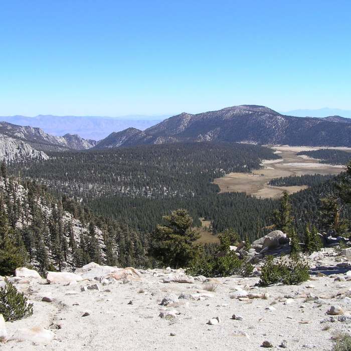 Whitney Meadow Loop Hiking Trail | Map, Difficulty, Trail Status | onX