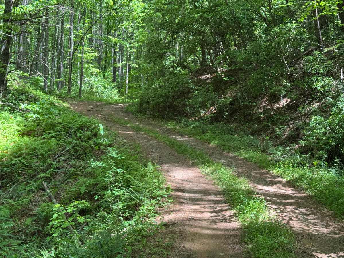 Rock Creek Branch B - FS 69B | Off-Road Trail Maps, Difficulty, Trail ...