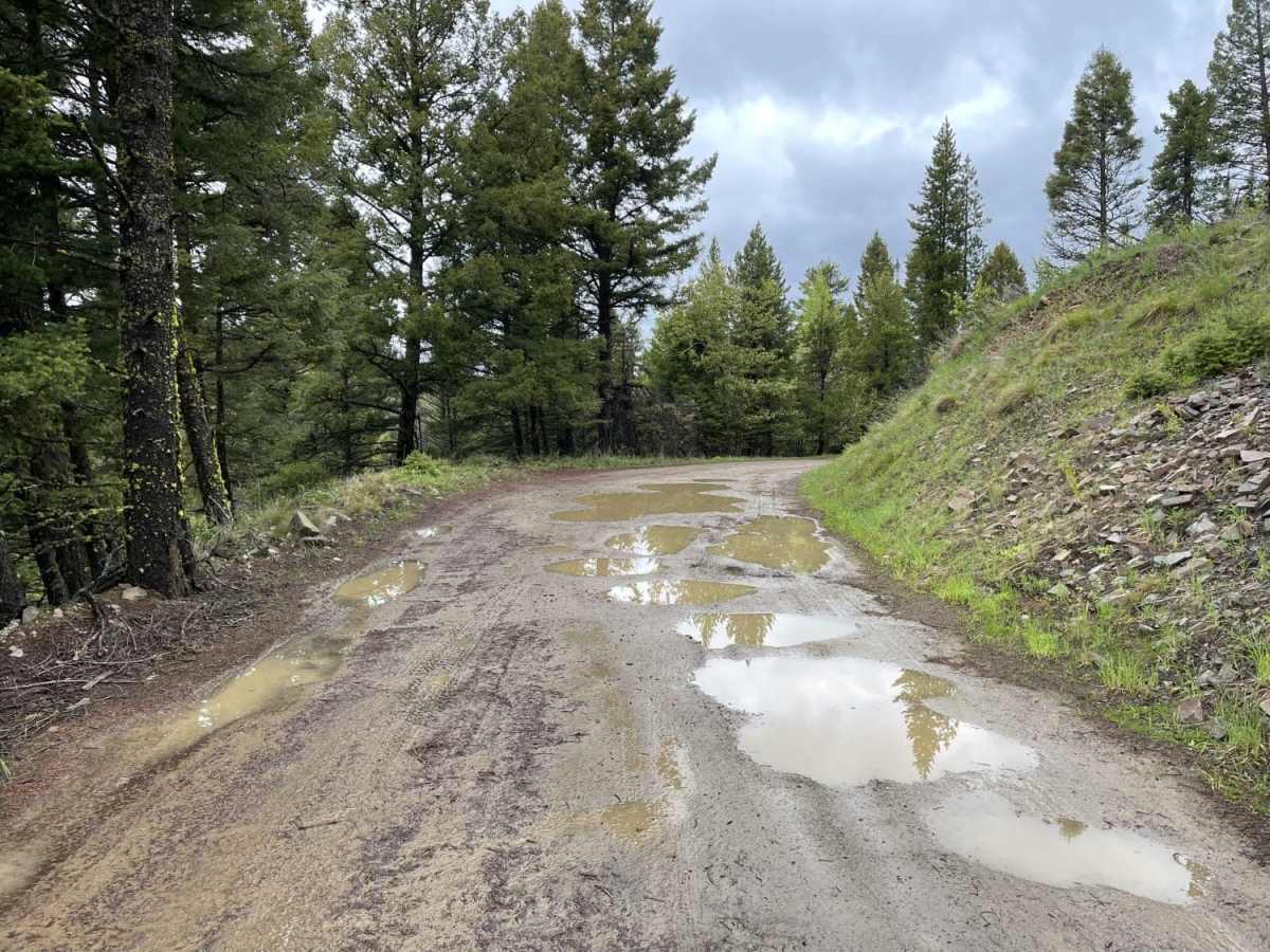Upper Cave Gulch Road | Off-Road Trail Maps, Difficulty, Trail Status ...