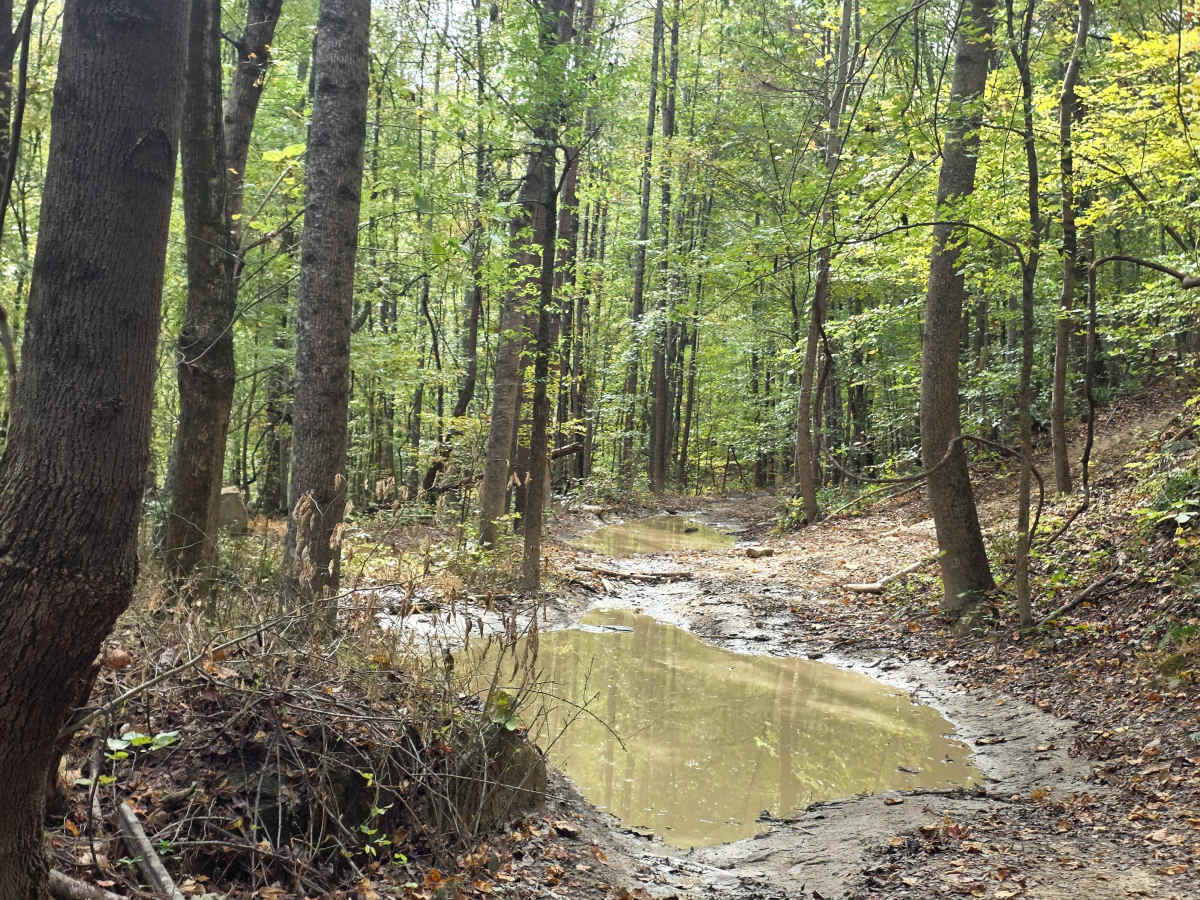 Rock Wall Trail | Off-Road Trail Maps, Difficulty, Trail Status | onX ...