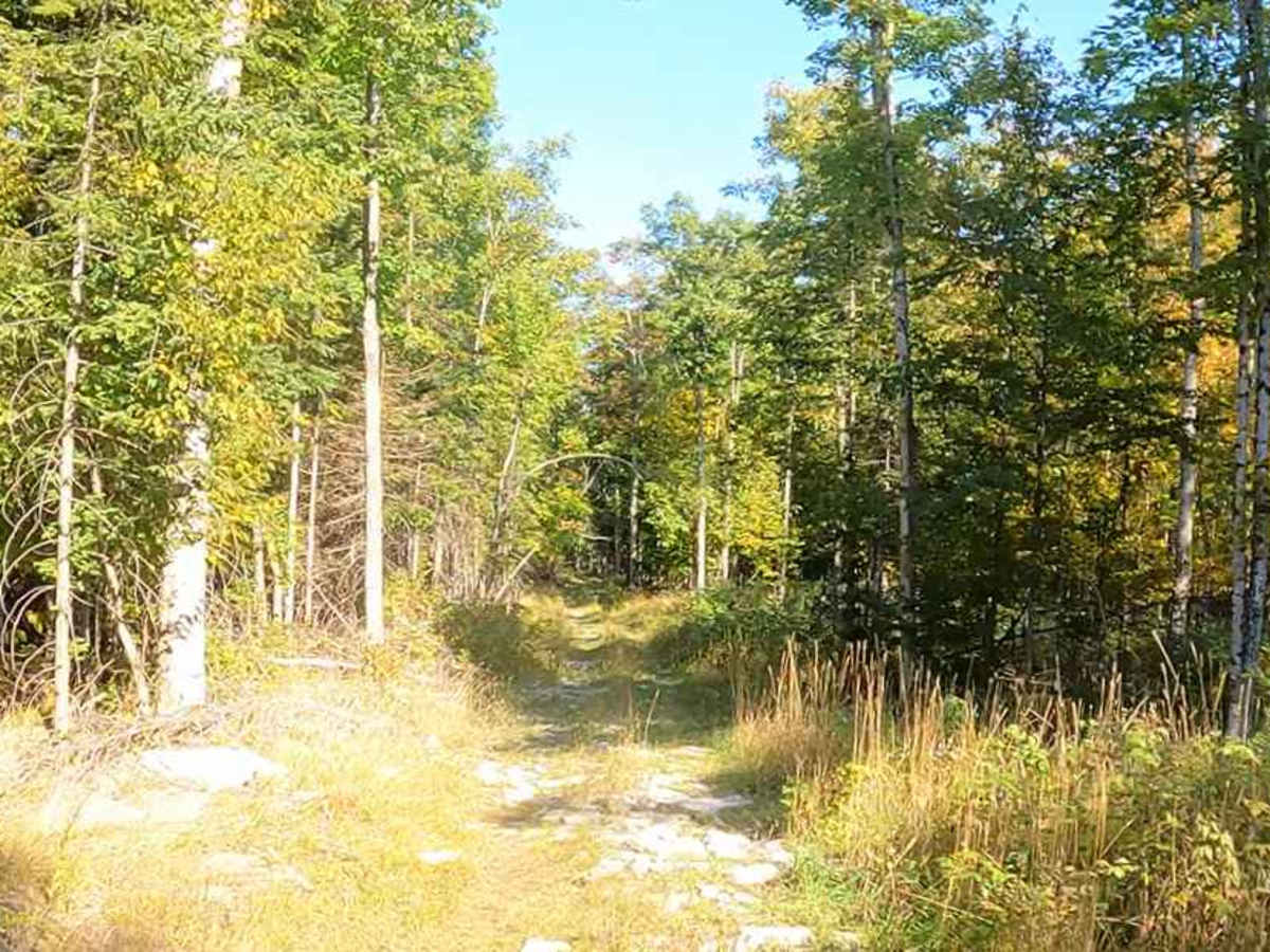 Limestone Road | Off-Road Trail Maps, Difficulty, Trail Status | onX ...