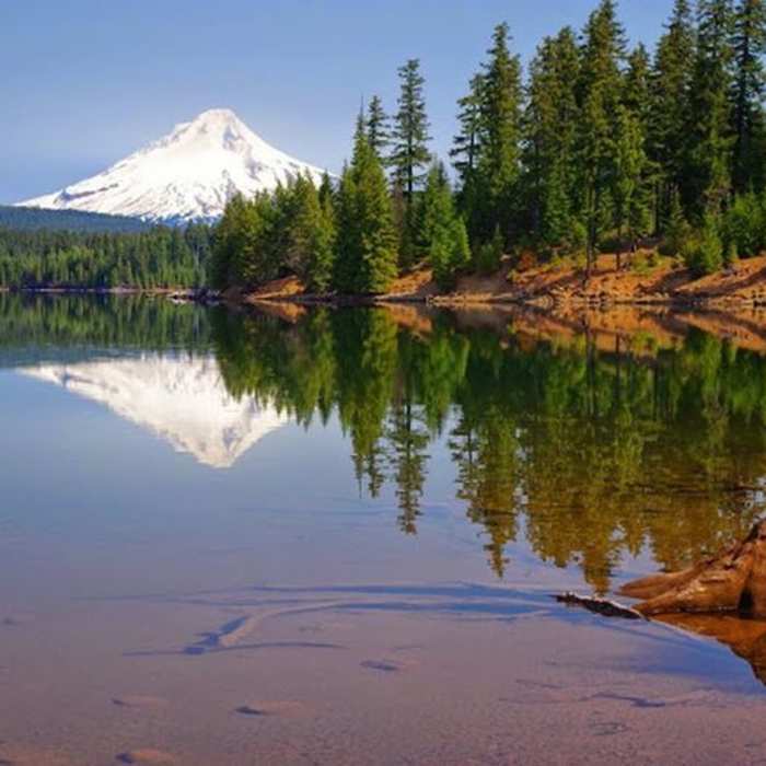 Timothy Lake Trail #528 | Hiking Trail Maps, Difficulty, Trail Status | onX