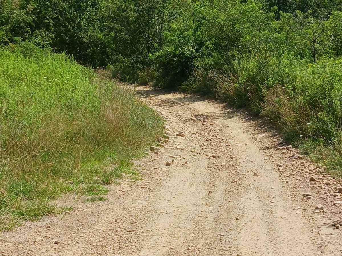 Play Pond Path Blue Trail - Rock Run Recreation Area | Off-Road Trail ...