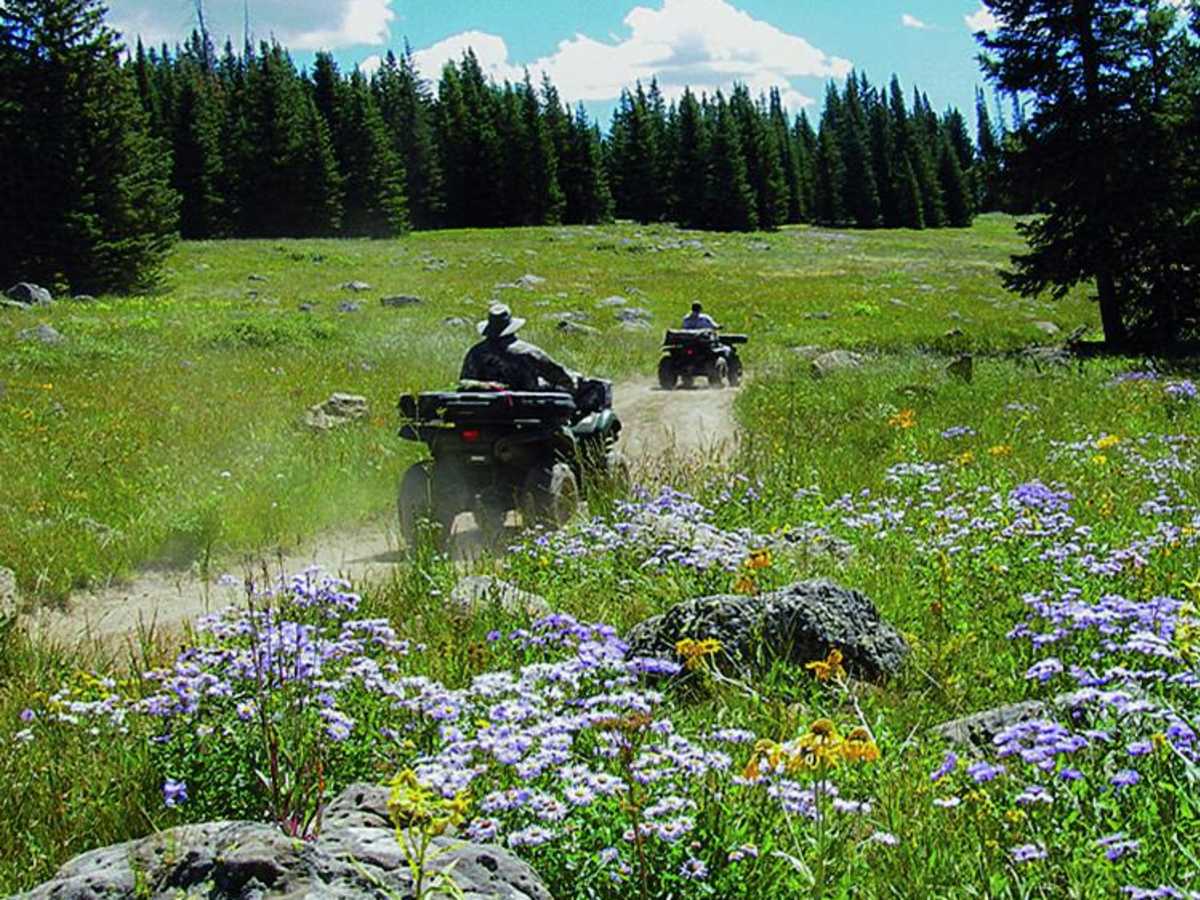 Deadhorse Loop | Off-Road Trail Maps, Difficulty, Trail Status | onX ...